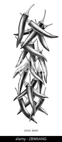 Chilli pepper graphic black white isolated sketch illustration vector ...