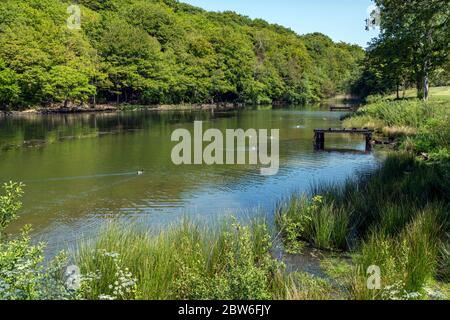Meltham Mills Reservoir near Holmfirth in West Yorkshire Stock Photo ...