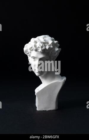 David in Plaster Stock Photo - Alamy