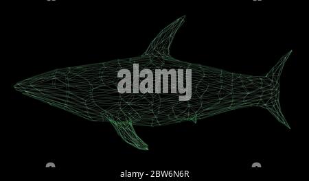 3d rendering of an animal wireframe isolated on a black background ...