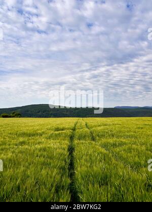 A scenic landscape of a green field with cloudy sky above it Stock ...