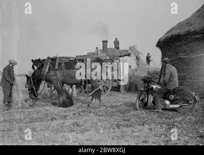 Farm workers using a portable steam engine and belt - driven threshing ...