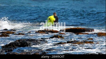 rocky punalu'u shore and ocean on horizon along kau coast of ...