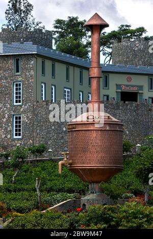 Mlesna Tea Castle St Clair tea plantation is situated 3 km west of the ...