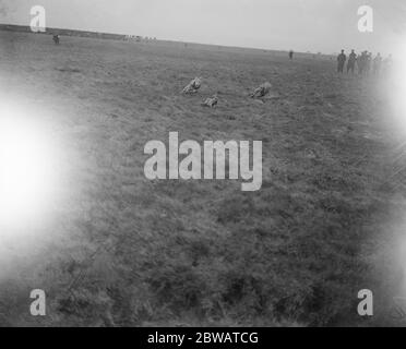 Hare Coursing - Waterloo Cup Stock Photo - Alamy