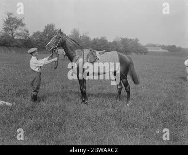 Derby, United Kingdom. 29 May 2026, Venue: The Central Co-op Derby ...