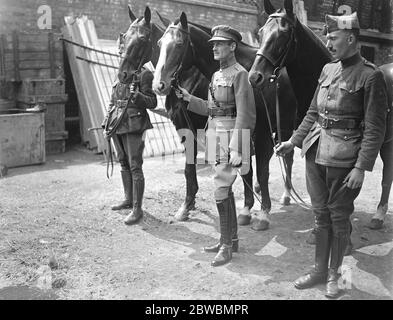 International Horse Show At The Olympia. Captain Pelly - The Hussars ...