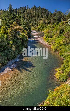 Native Bush Ruahine Forest Park Ruahine Ranges Tararua North Island New ...