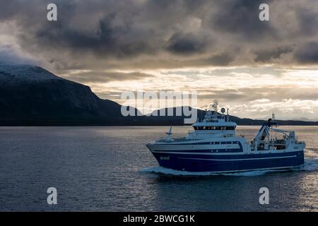 The fishing trawler "Langøy" making passage up the Edøyfjorden, Møre og ...