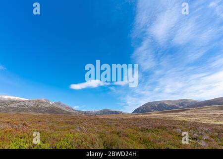 Quoich water glen in Cairngorms Stock Photo - Alamy