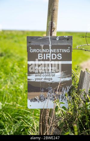 Ground-nesting birds sign about keeping to paths and controlling dogs ...