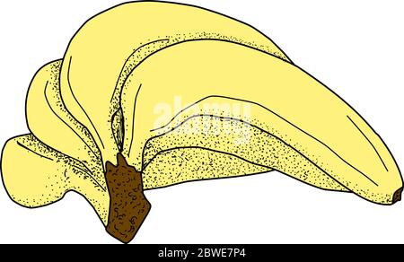 four bananas lying sketch vector illustration Stock Vector Image & Art ...