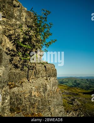 Rock Outcrop and Quarry Landscape with Green Farmland and Hills in ...