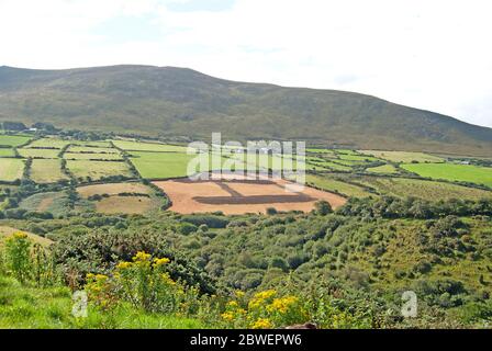 Green landscape with lots of fields, Ireland Stock Photo - Alamy