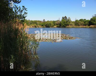 Lake at Rödgen (Gießen, Germany Stock Photo - Alamy