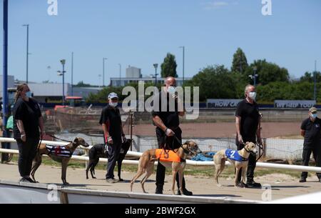 Greyhounds are brought to the track for the 12:51 race at Perry Barr ...