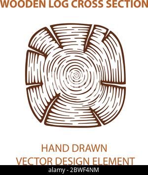 Wooden trunk cross section vector illustrations set. Wooden board ...