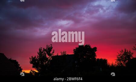 Purple (deep red) sunset with silhouette of meadow grass, nature eco ...