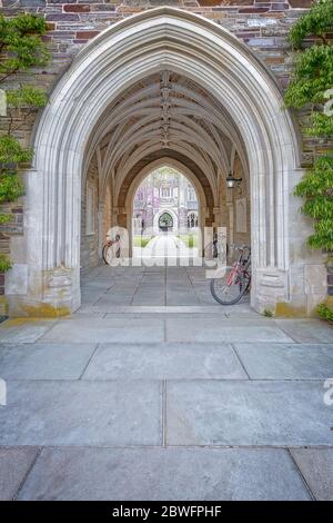 Princeton Rockefeller College - A view to the Collegiate Gothic ...