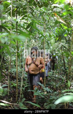 PERU: THE WOMEN OF THE MATSES TRIBE IN REMOYACU HAVE TRIBAL FACIAL ...