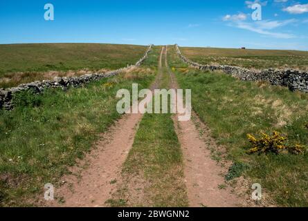 Dere Street, Roman road at Whitton Edge near Jedburgh, Scottish Borders ...