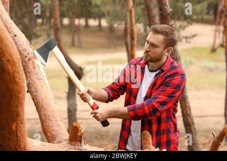 Handsome lumberjack cutting down trees in forest Stock Photo - Alamy