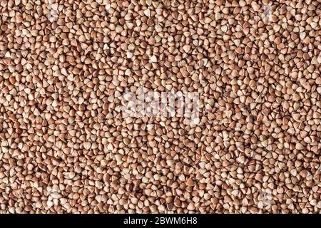 Roasted buckwheat grains background Stock Photo - Alamy