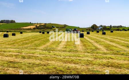 McHale Baler baling silage, Cork, Ireland Stock Photo - Alamy