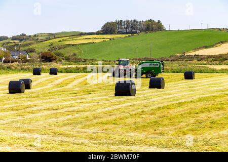 McHale Baler baling silage, Cork, Ireland Stock Photo - Alamy