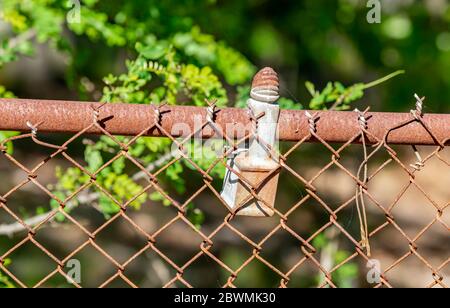Rusted chain fence in harbor near Golden Gate Bridge Stock Photo - Alamy