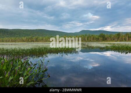 Elbow Pond in Woodstock, New Hampshire on a cloudy summer day Stock ...