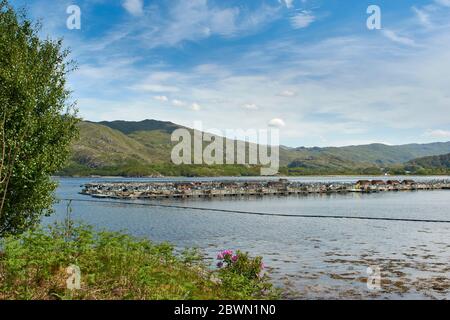 Fish farm in the sea Stock Photo - Alamy