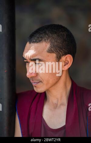 Diskit monastery in Nubra valley, Ladakh, northern India Stock Photo ...