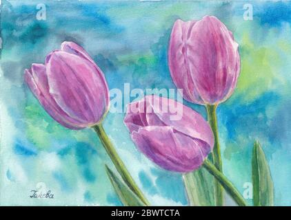 Purple tulip floral botanical flowers. Wild spring leaf wildflower ...