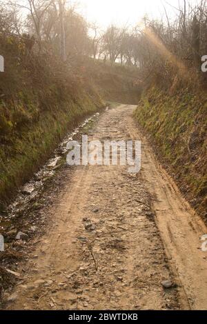 Unpaved road in Romania's countryside Stock Photo - Alamy