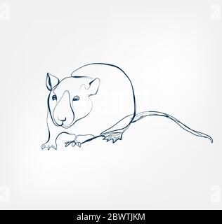 Continuous one line drawing of rat or mouse. Vector Stock Vector Image ...