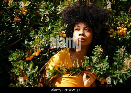Young woman looking sideways surrounded with leaves over her head Stock ...