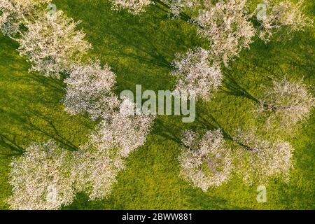 Germany, Baden-Wurttemberg, Beuren, Drone view of green countryside ...