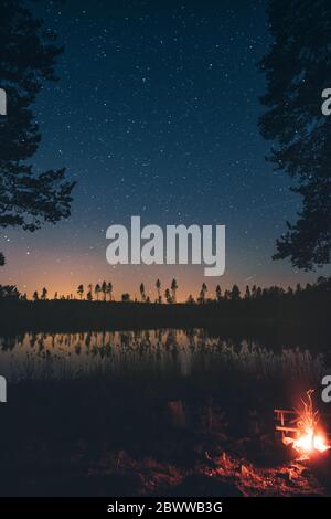 Starry sky over trees in Sodermanland, Nykoping, Sweden Stock Photo - Alamy