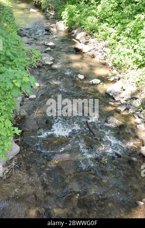 A little water stream in a wilderness Stock Photo - Alamy