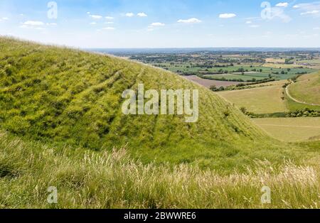 Roundway Hill and the iron age hillfort of Oliver's Castle near Devizes ...