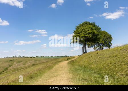 Oliver's Castle an iron age hill fort, Roundway Hill, near Devizes ...