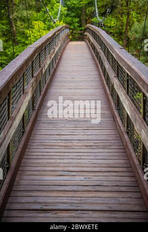 Suspension bridge spanning deep gorge over Spiti river and connecting ...