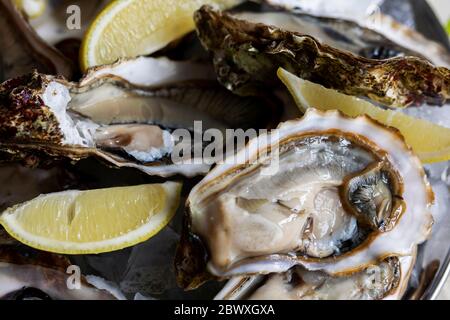 dinner plate at a luxury restaurant by the ocean with meat and salad ...