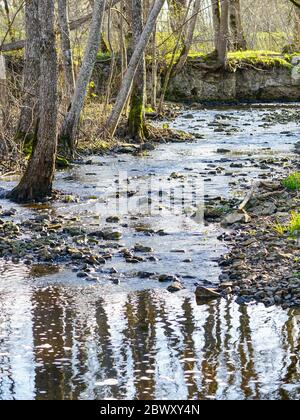 spring in a rural area Stock Photo - Alamy