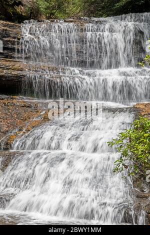 Lady Barron Falls, Mount Field National Park, Tasmania Stock Photo - Alamy