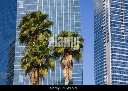 HSBC Tower on the right and Chase Tower on Brickell Avenue, Miami ...