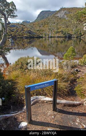 Wombat Pool, Cradle Mountain National Park, Tasmania, Australia Stock ...