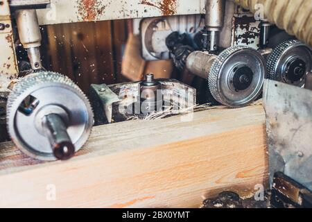 Timber molding - profile production - laminated timber for the ...