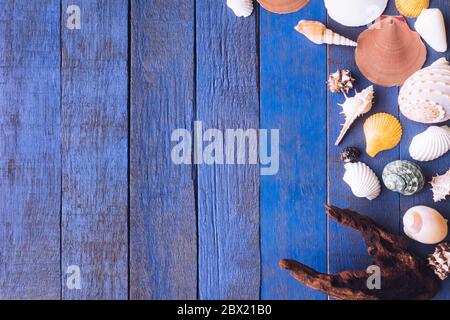 Seashells and timber on blue painted wood plank background with copy ...